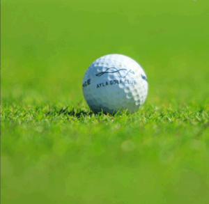 A glimpse of the magic of Ayla Golf Course in Aqaba - Jordan Golf ...